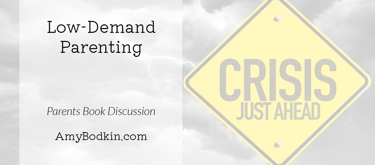 Parents Book Club: "Low-Demand Parenting" by Amanda Diekman - Amy Bodkin Consulting