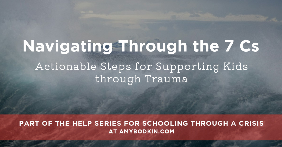 Help Series: Navigating through the 7 C's - Actionable Steps for ...